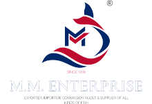 MM Enterprise – MM Enterprise
