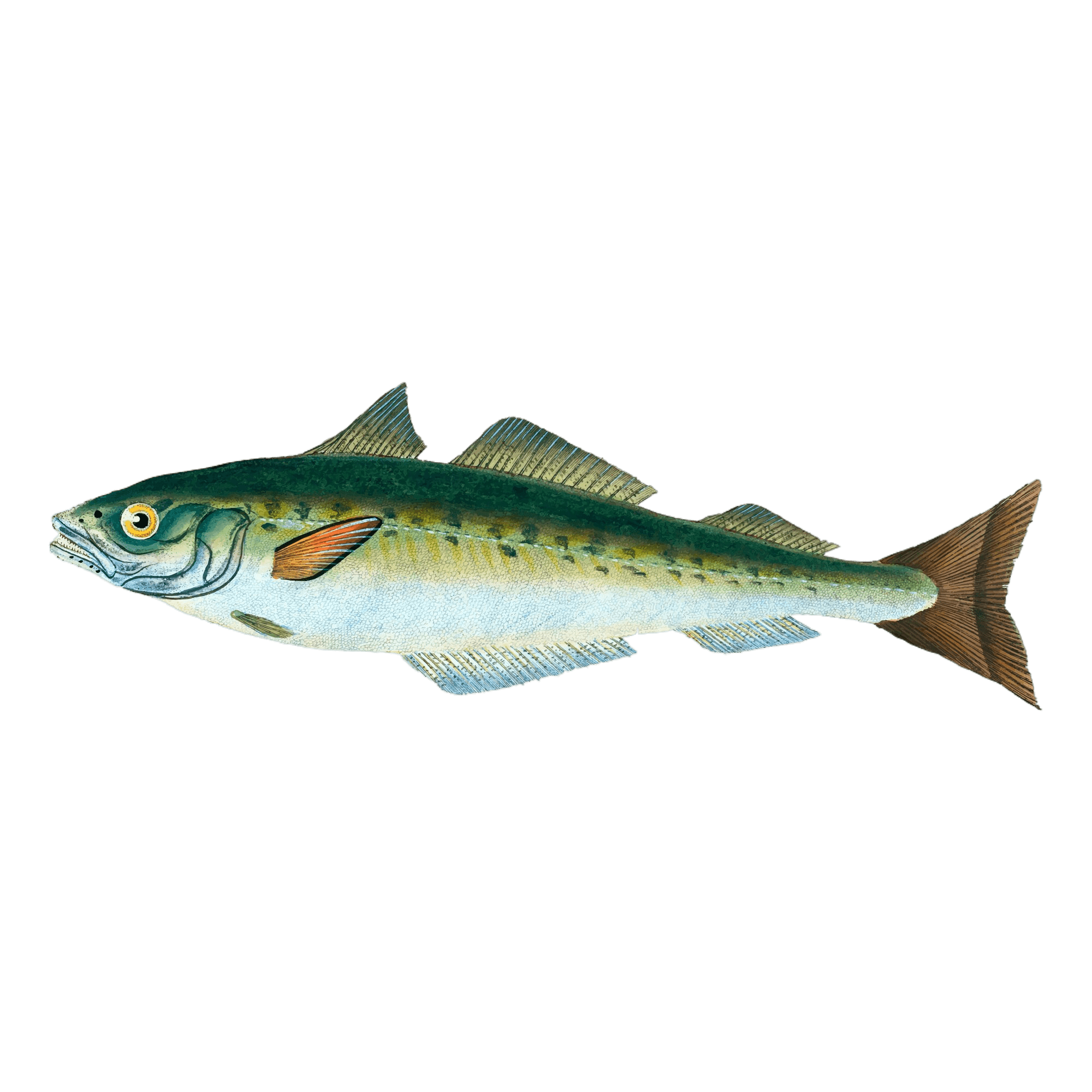 MM Enterprise – MM Enterprise